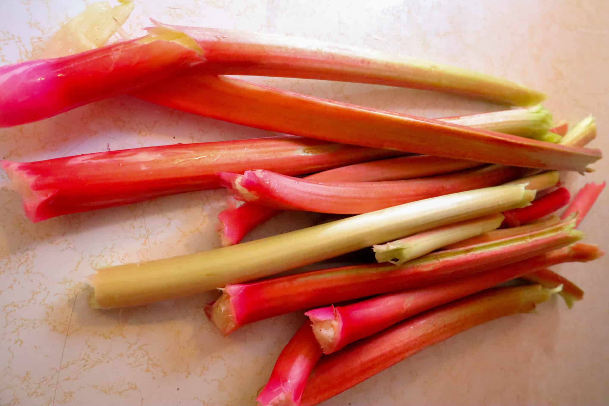 How to Harvest Rhubarb - 1898 Mama