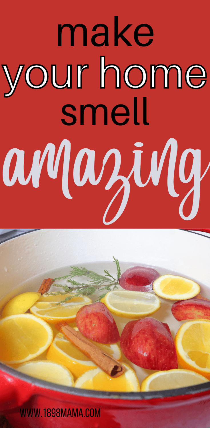 10 Amazing Simmer Pot Recipes + Extra Ideas - 1898 Mama
