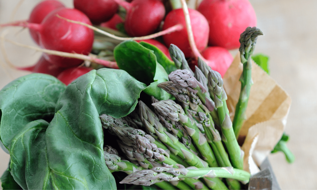 8 Spring Vegetables to Plant This Year - 1898 Mama